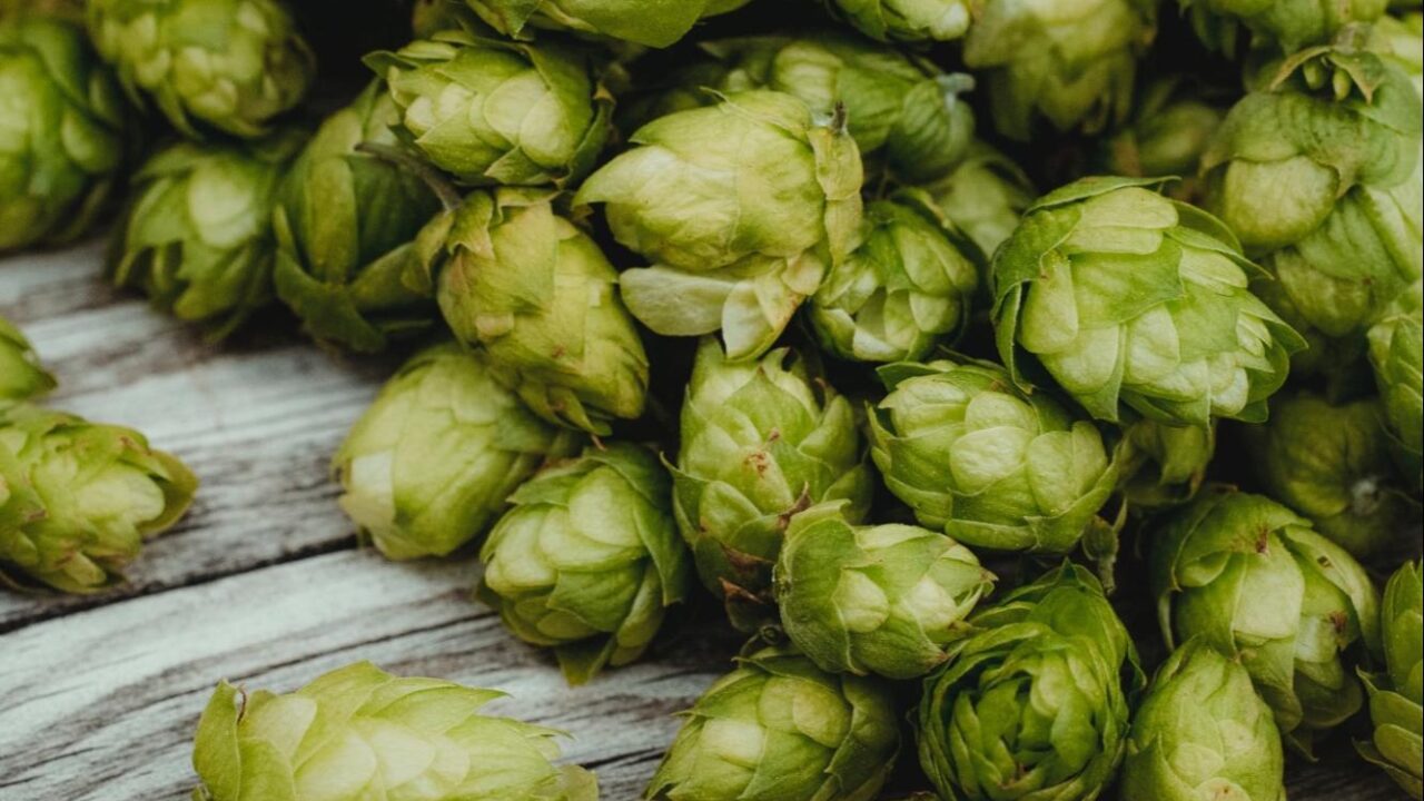 My 6 Favorite Herbs for Defeating Insomnia Once and For All » Survive ...